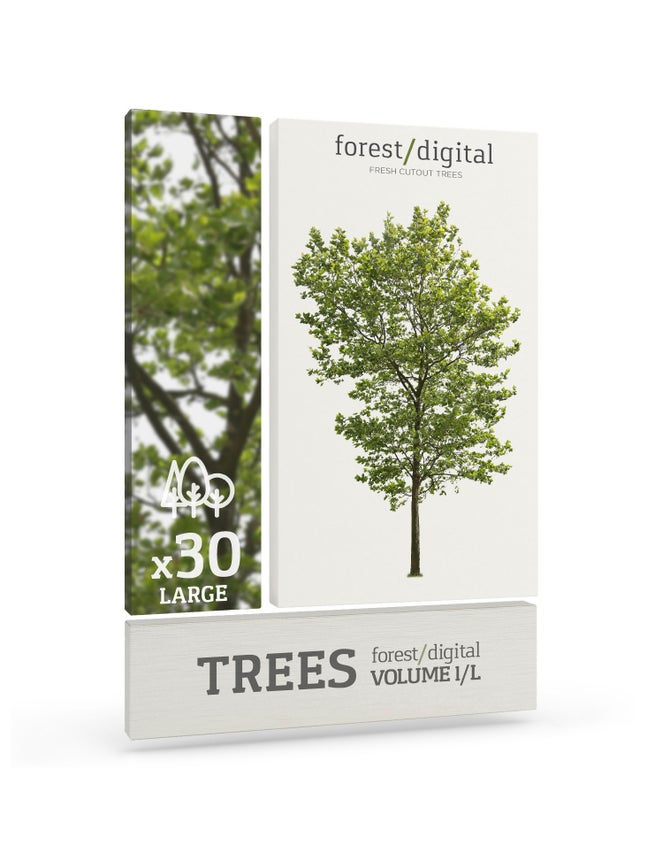 forest/digital Trees vol. 1/L | 30 large Cutout Trees - Payhip