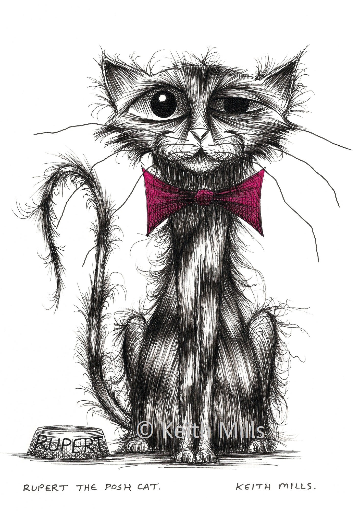 Reviewing Rupert the posh cat Print download - Payhip