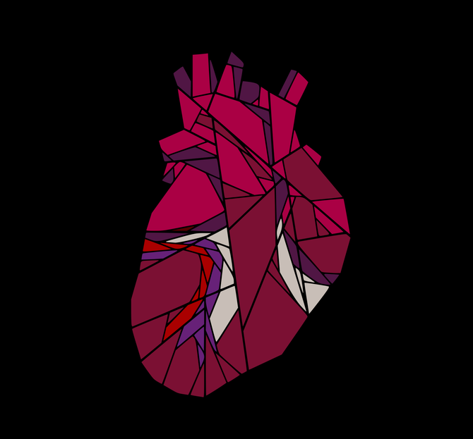 Bundle Of Three Anatomical Organs Foundation Paper Piecing Patterns Payhip