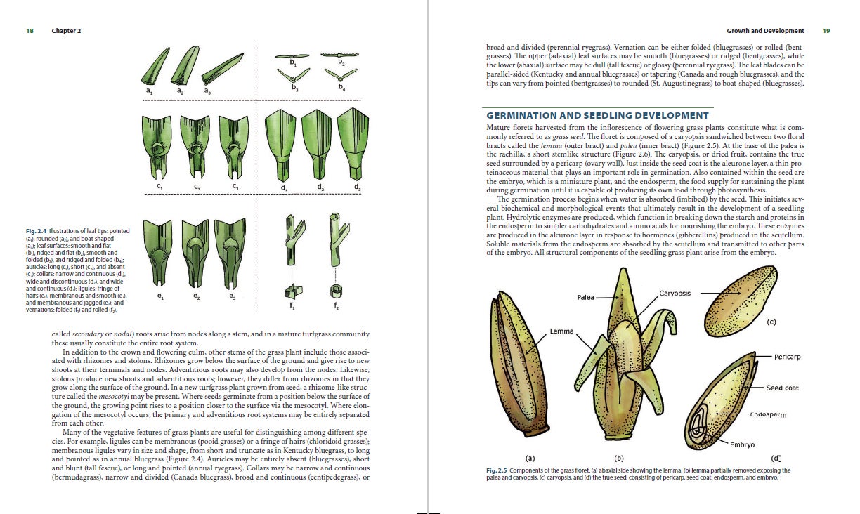 Turfgrass Management Edition 1.0 (Digital PDF) - Payhip