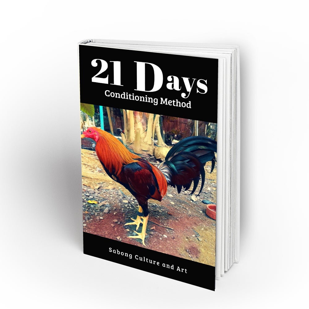 21 Days Conditioning Method (eBook) - Payhip
