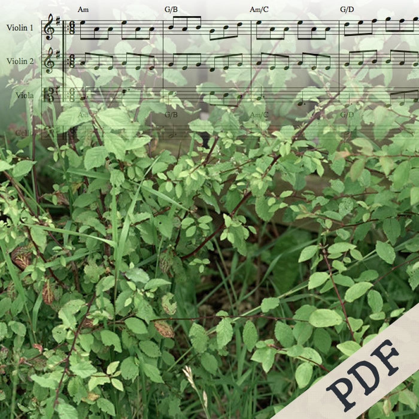 The Tenpenny Bit - Irish Jig harmony sheet music for string quarter ...