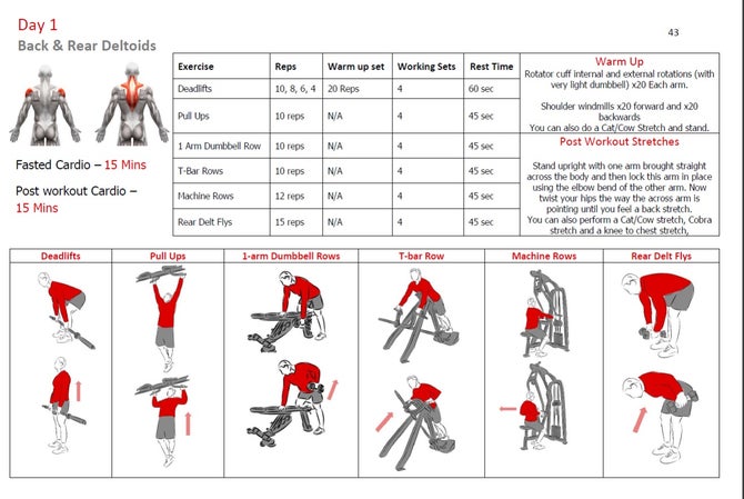 Men's Body Shred 12 week Fat Loss Workout and Nutrition Plan - Payhip