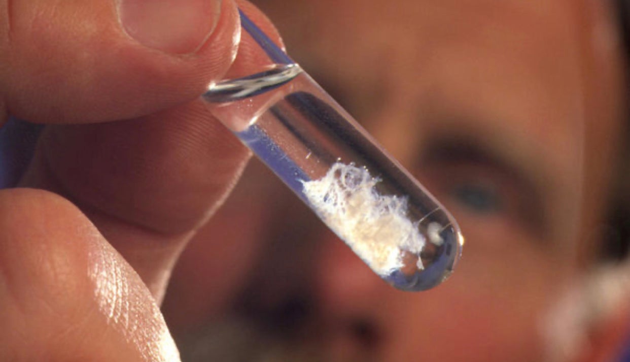 DNA Extraction science experiment kit. Visually see the DNA! - Payhip