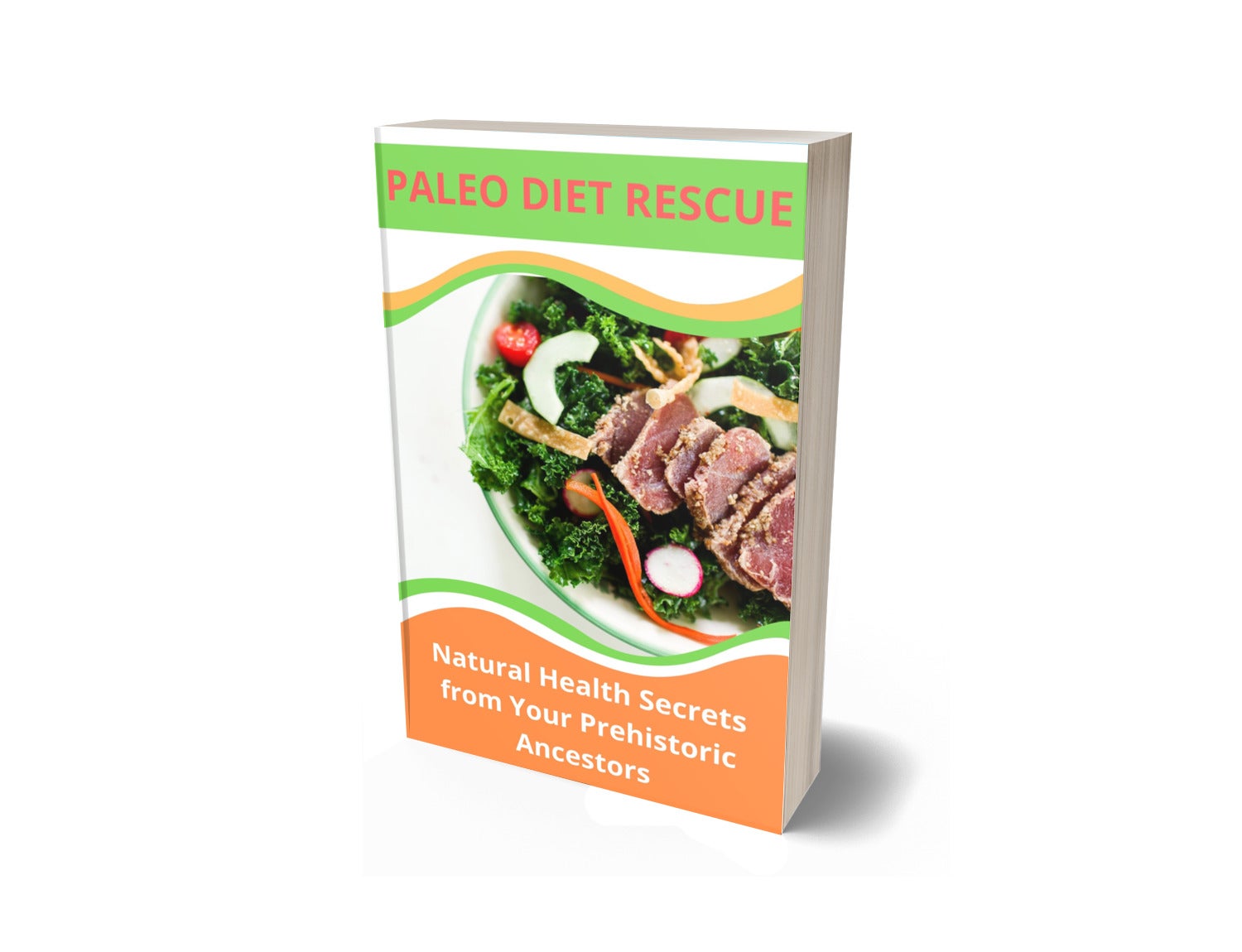 The Paleo Diet Rescue - Payhip