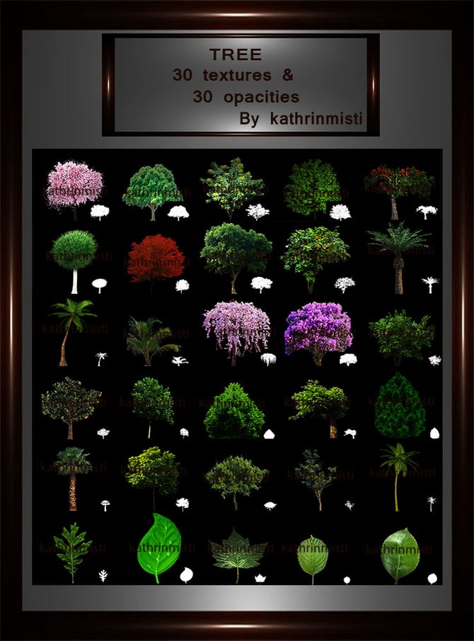 TREE & OPACITIES - Payhip