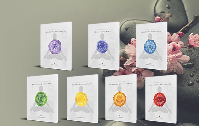 Chakra Healing Bundle - Payhip
