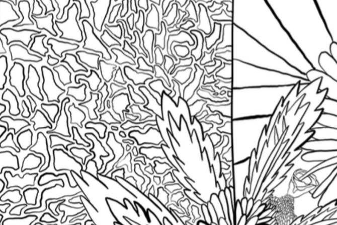 7 Coloring Book Pages for Adults | The Lockdown Edition | DIGITAL ...