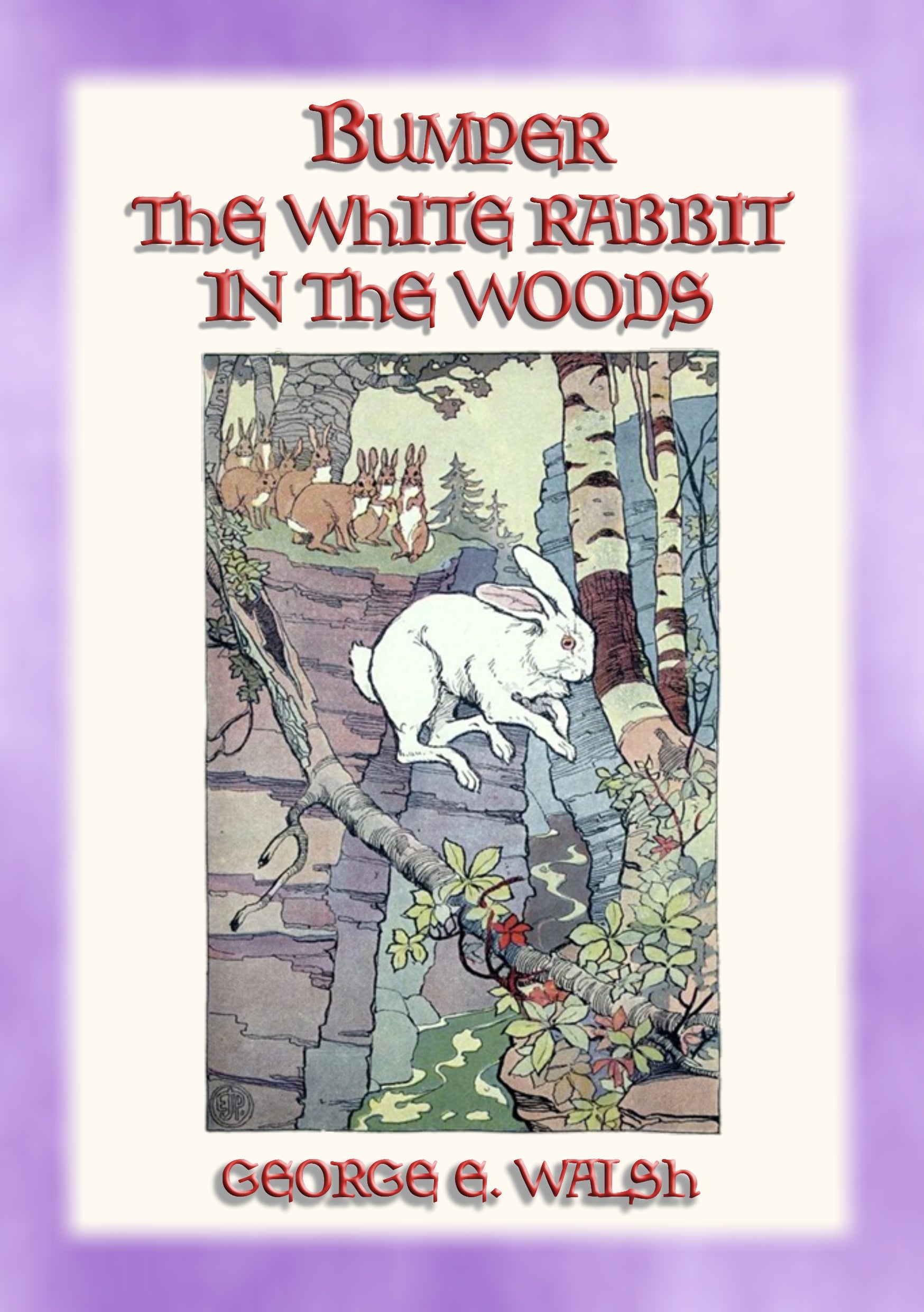 BUMPER THE WHITE RABBIT IN THE WOODS - Book 2 in the Bumper the White ...
