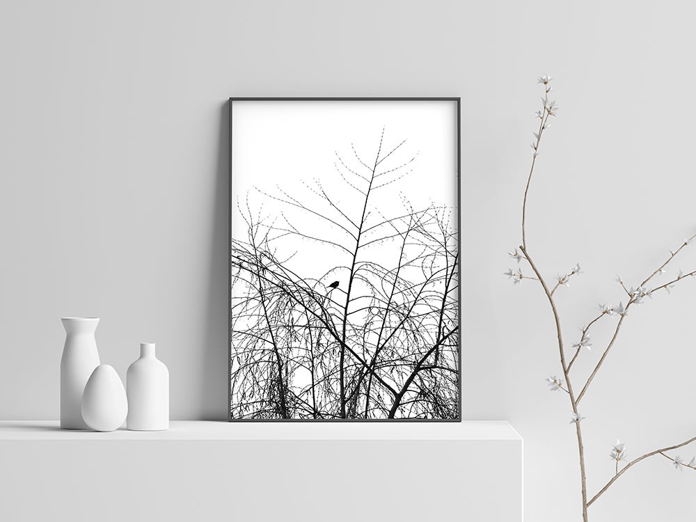 Birds on Branches,Nature photography,Black and White Tree Print,Instant ...