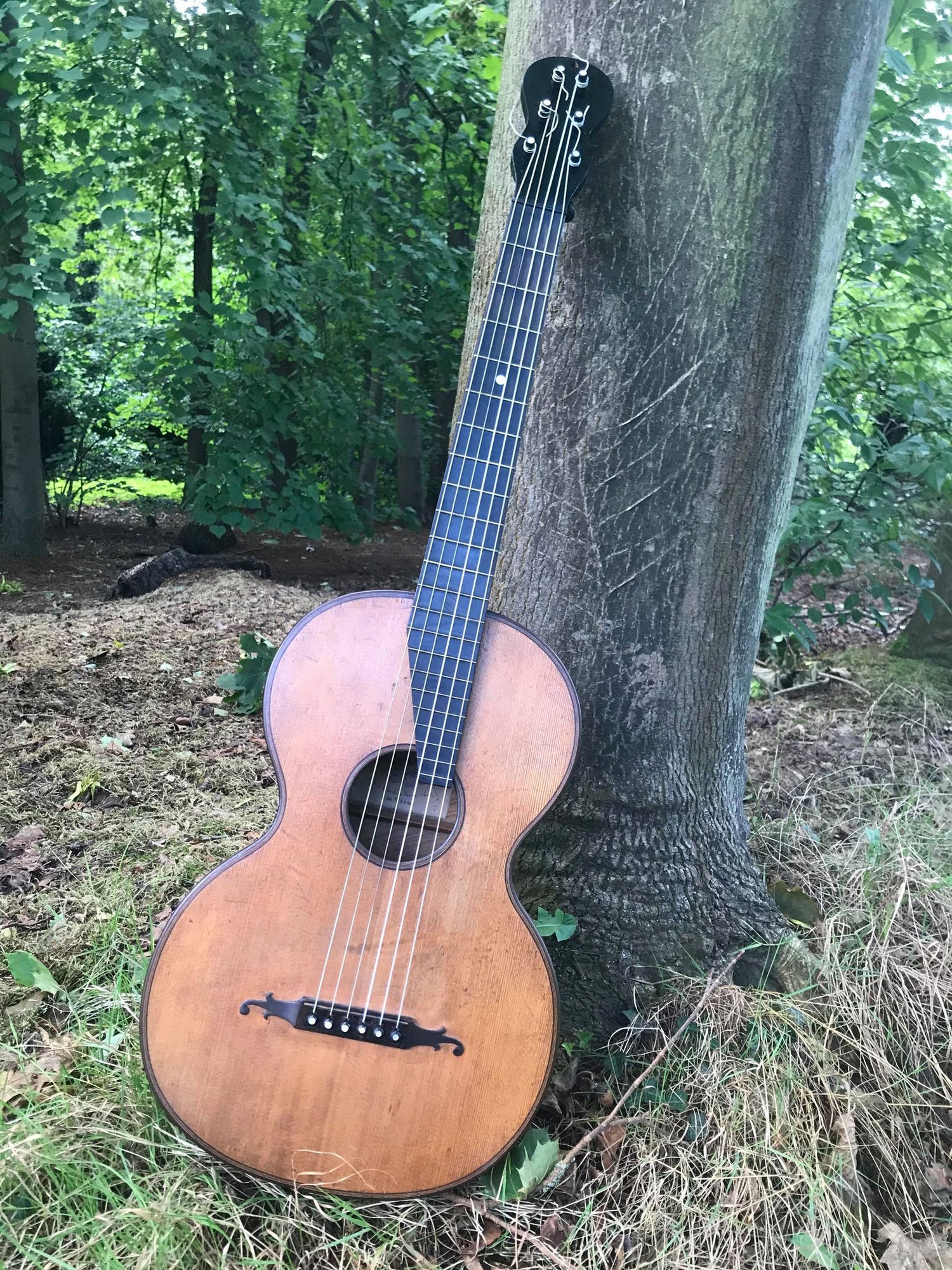 Romantic Guitar - Legnani Model - N.G. Ries - Vienna - Payhip