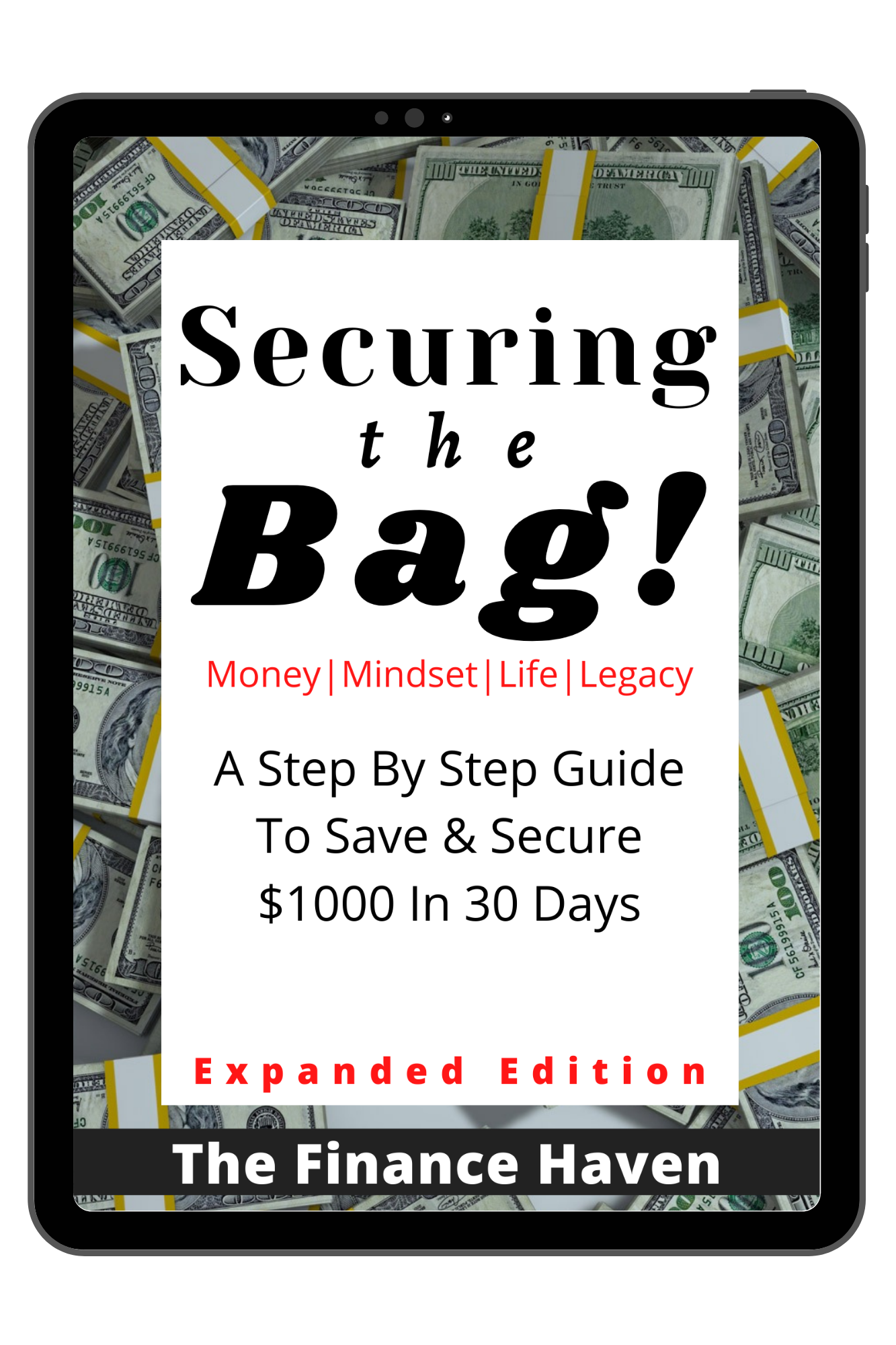 Securing The Bag ebook - Payhip