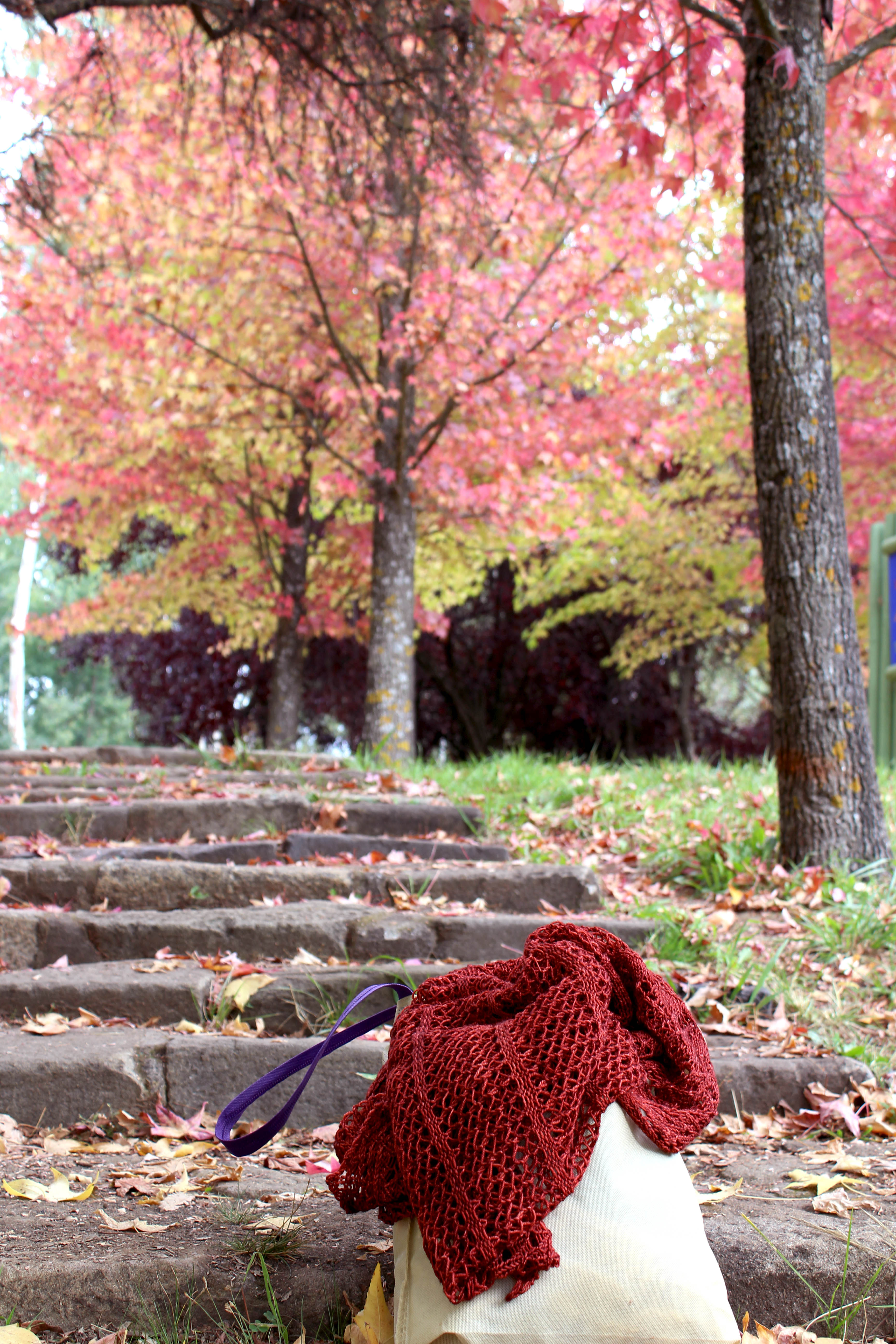 Hypatia's Dream - Payhip