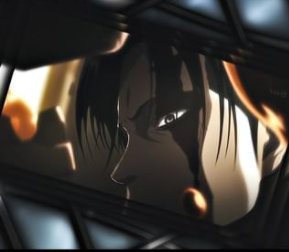 Levi project file - Payhip