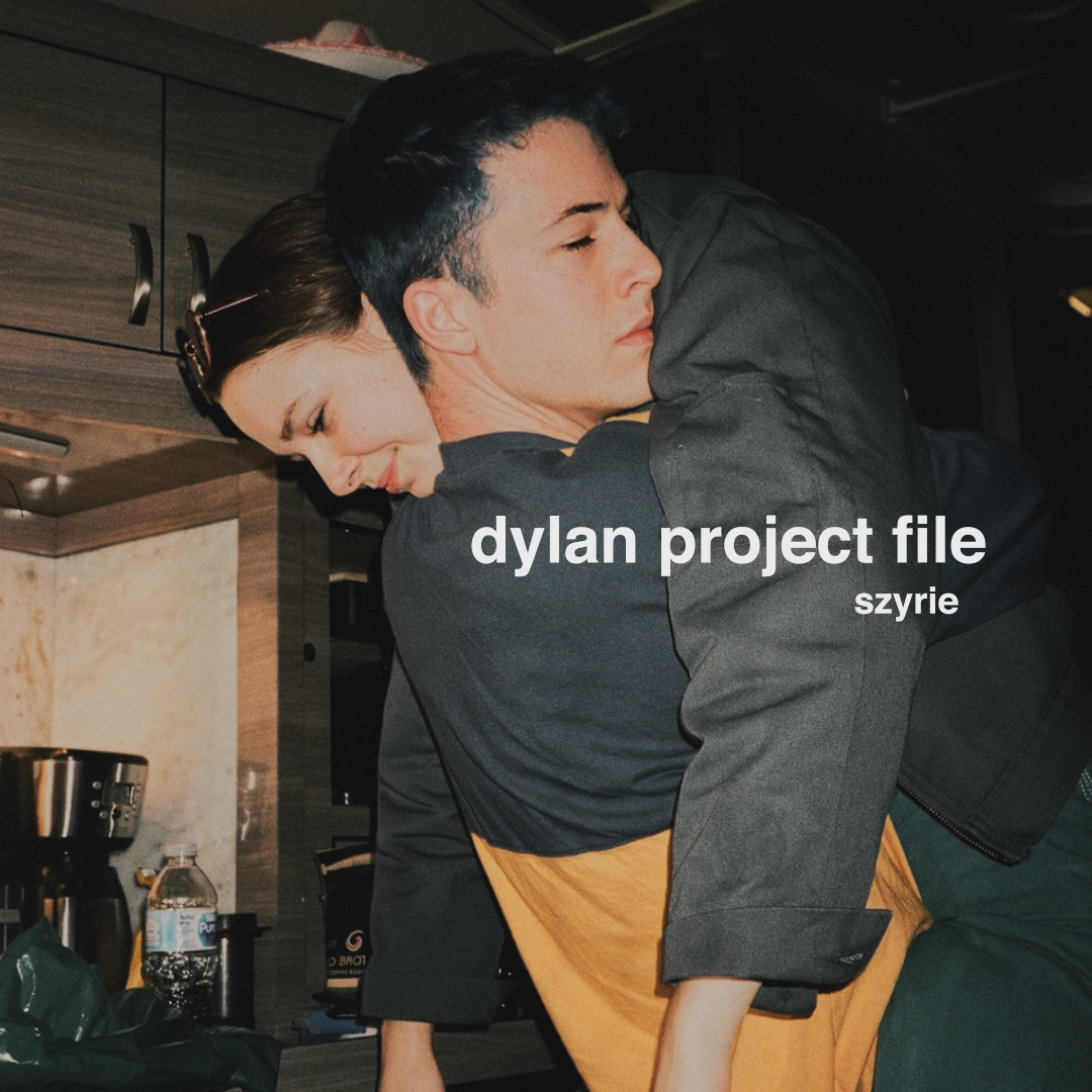 dylan project file - Payhip