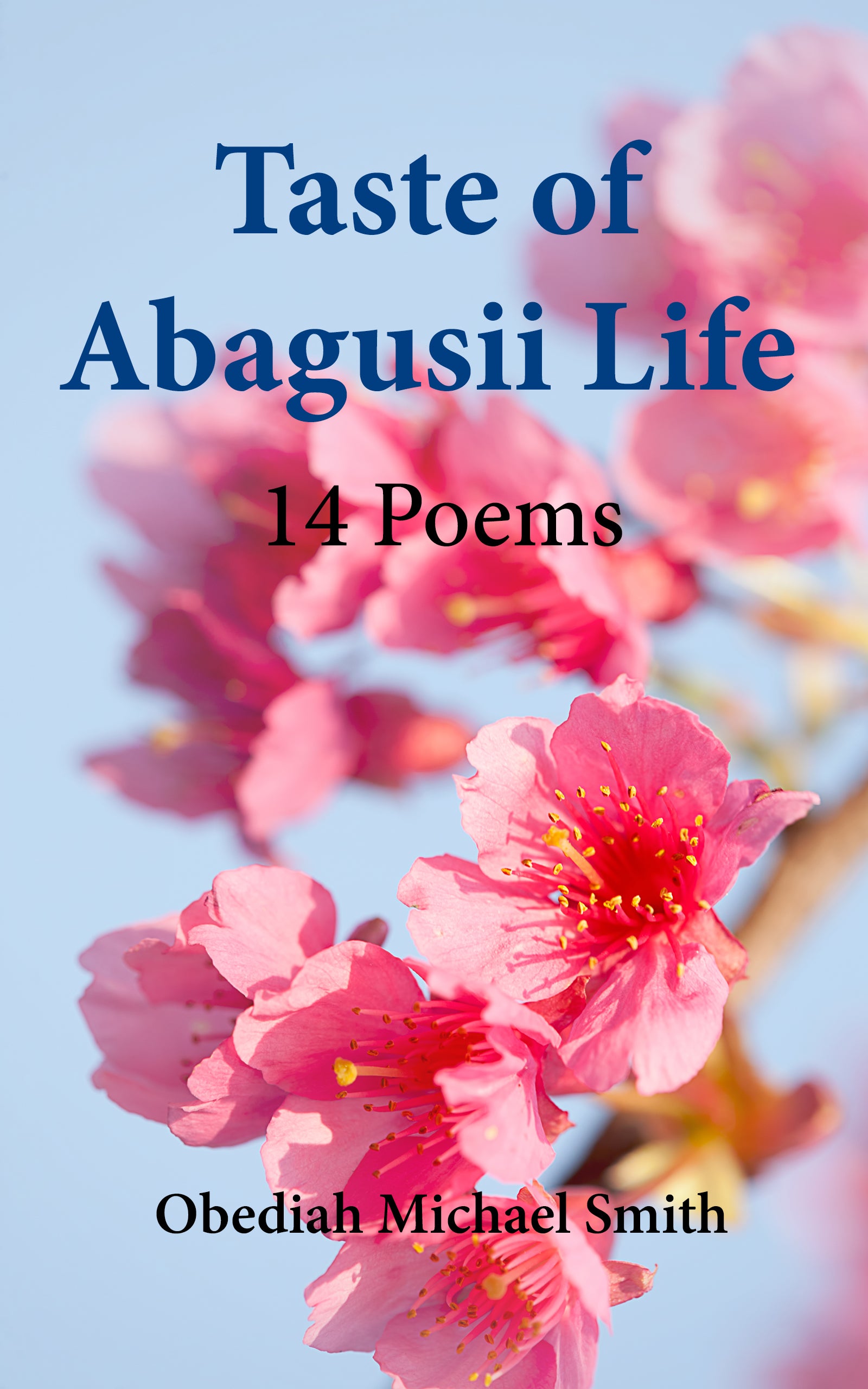 Taste of Abagusii Life - Payhip