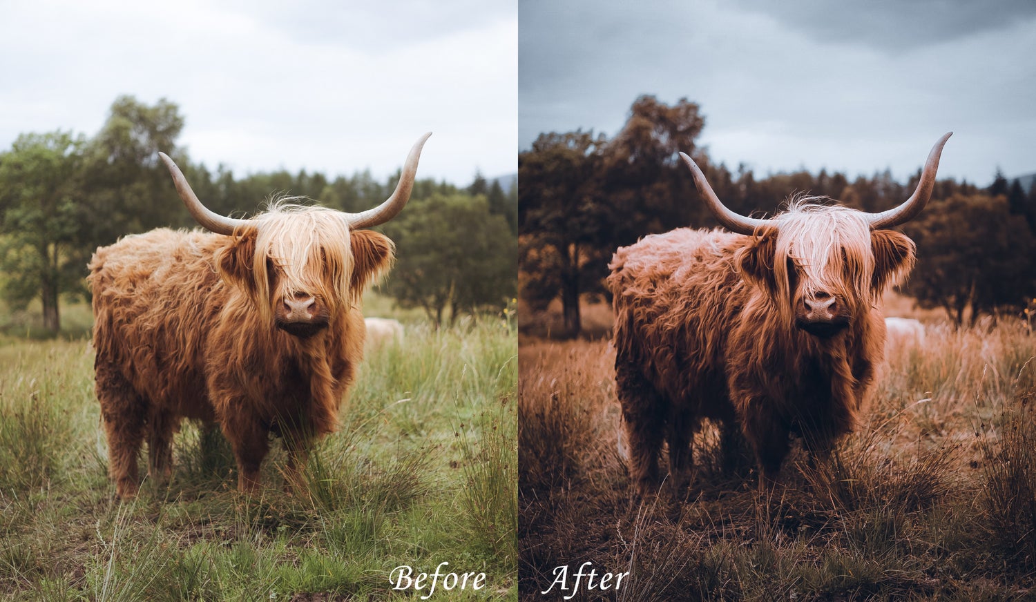 Lightroom presets | Moody Brown Presets | Brown presets | Moody Presets ...