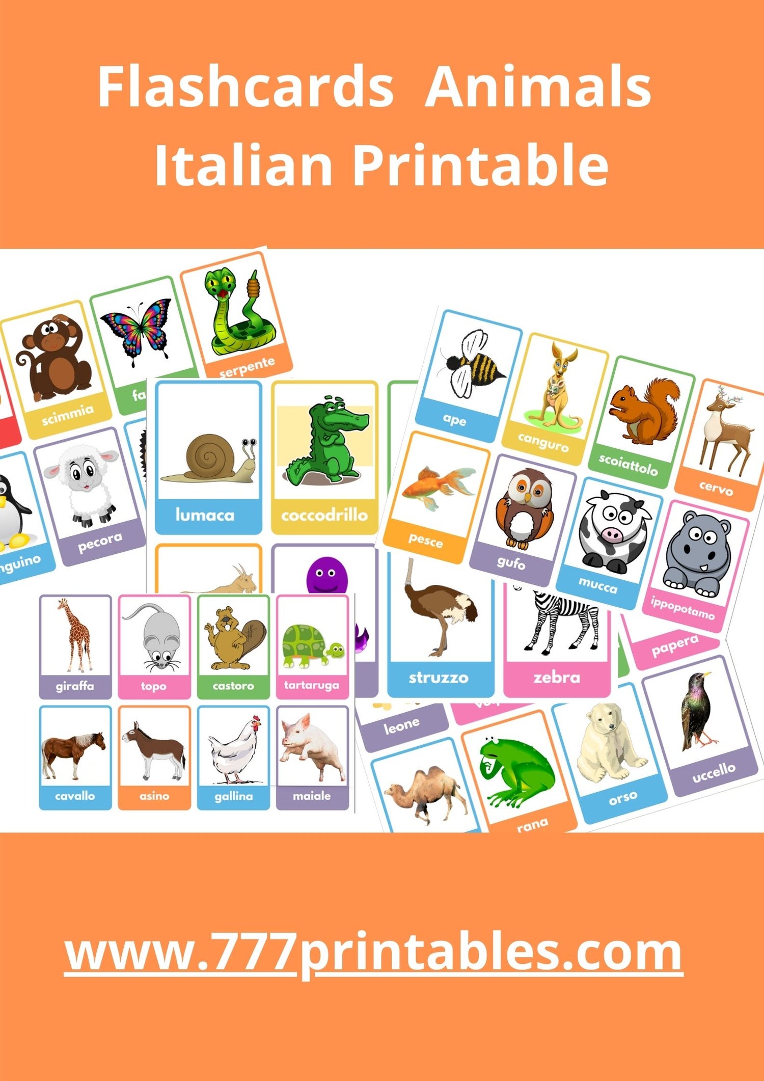 Italian Flashcards Animals Printable - Payhip