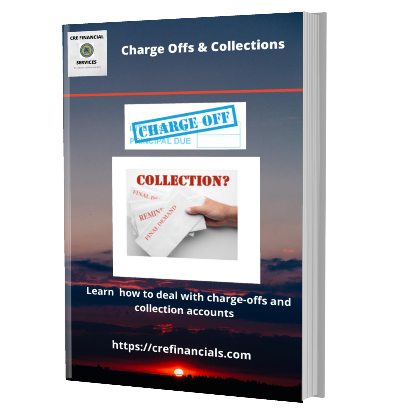 Remove Charge-Offs & Collection Accounts - Payhip