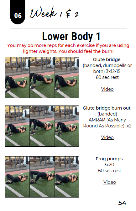 LEVEL UP Beginner's Guide to Nutrition & Strength Training + 6 Week Workout Program - Payhip