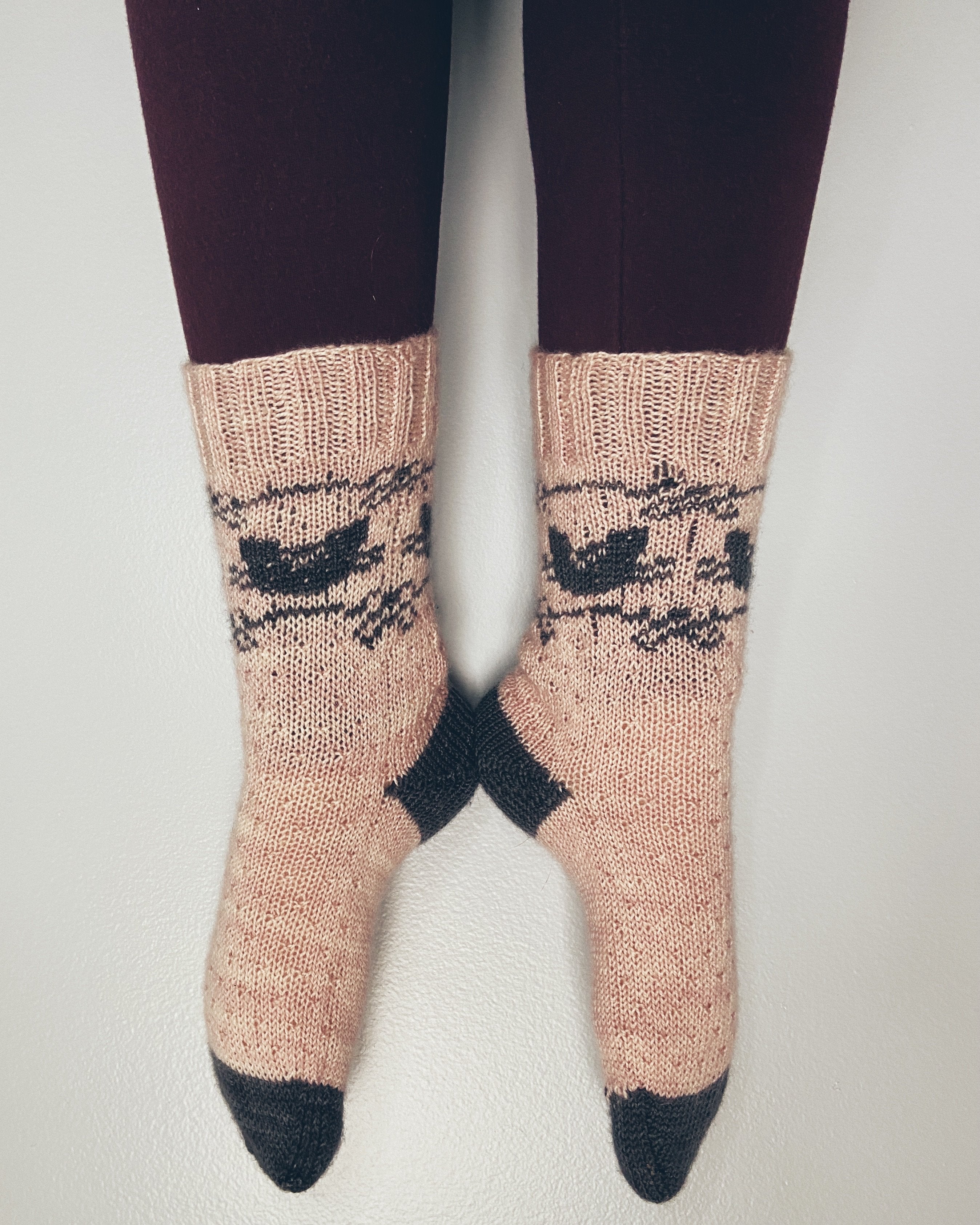 Moon Kitty Socks - Payhip