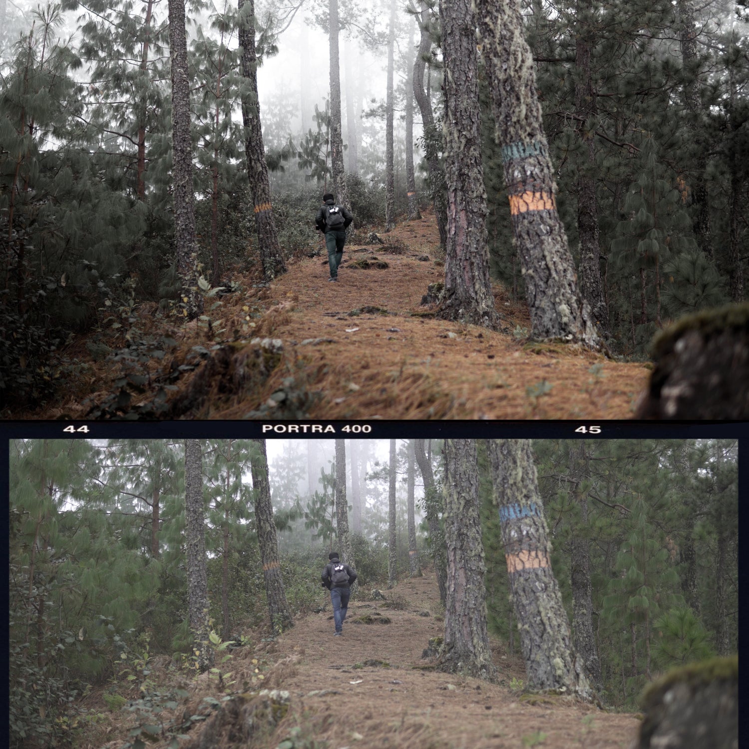 Cinematic Cine-Log Pack | 12 Premium Luts - Payhip