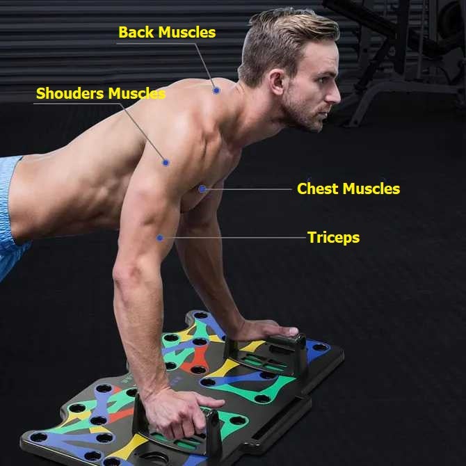 Push Ups Plate Rack Push-up Stand Board with Resistance Bands Gym Home ...