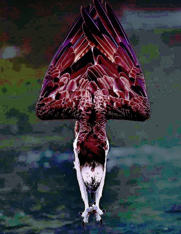 Service Catalogs RTRRT Academic Zodiacs - Payhip