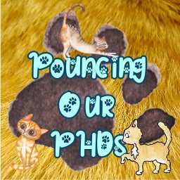 Bold Kitten - Payhip