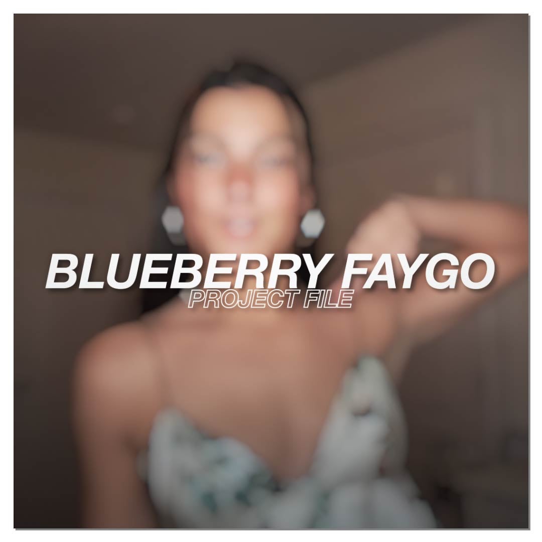 blueberry faygo project file - Payhip