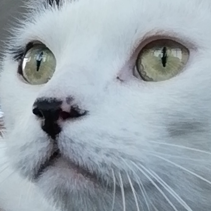 Malice Editing Store - Payhip