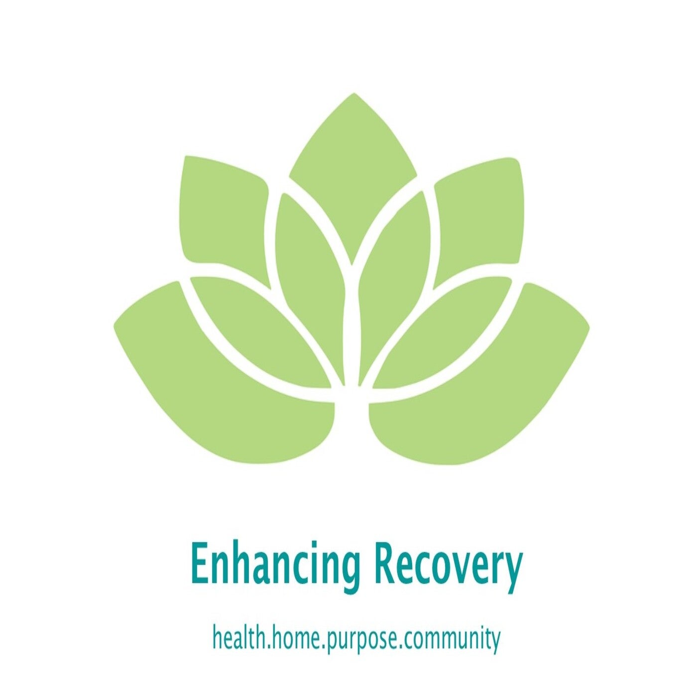 ENHANCING RECOVERY A Multi-Dimensional Sobriety Education Program ...