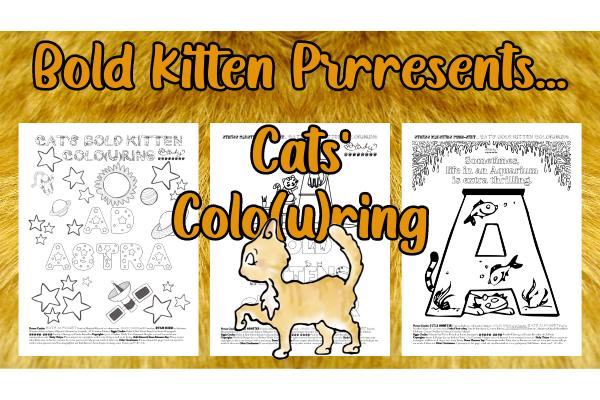 Bold Kitten - Payhip