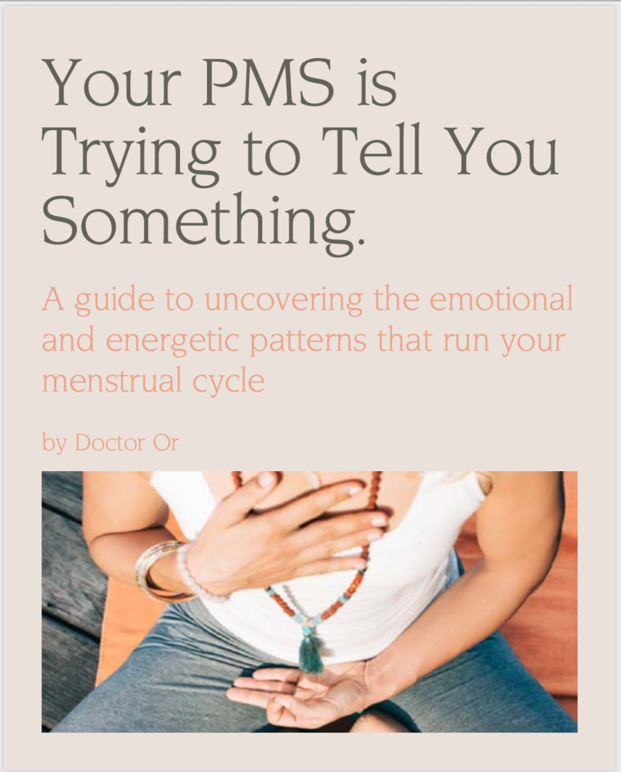 PMS Manual ebook - Payhip