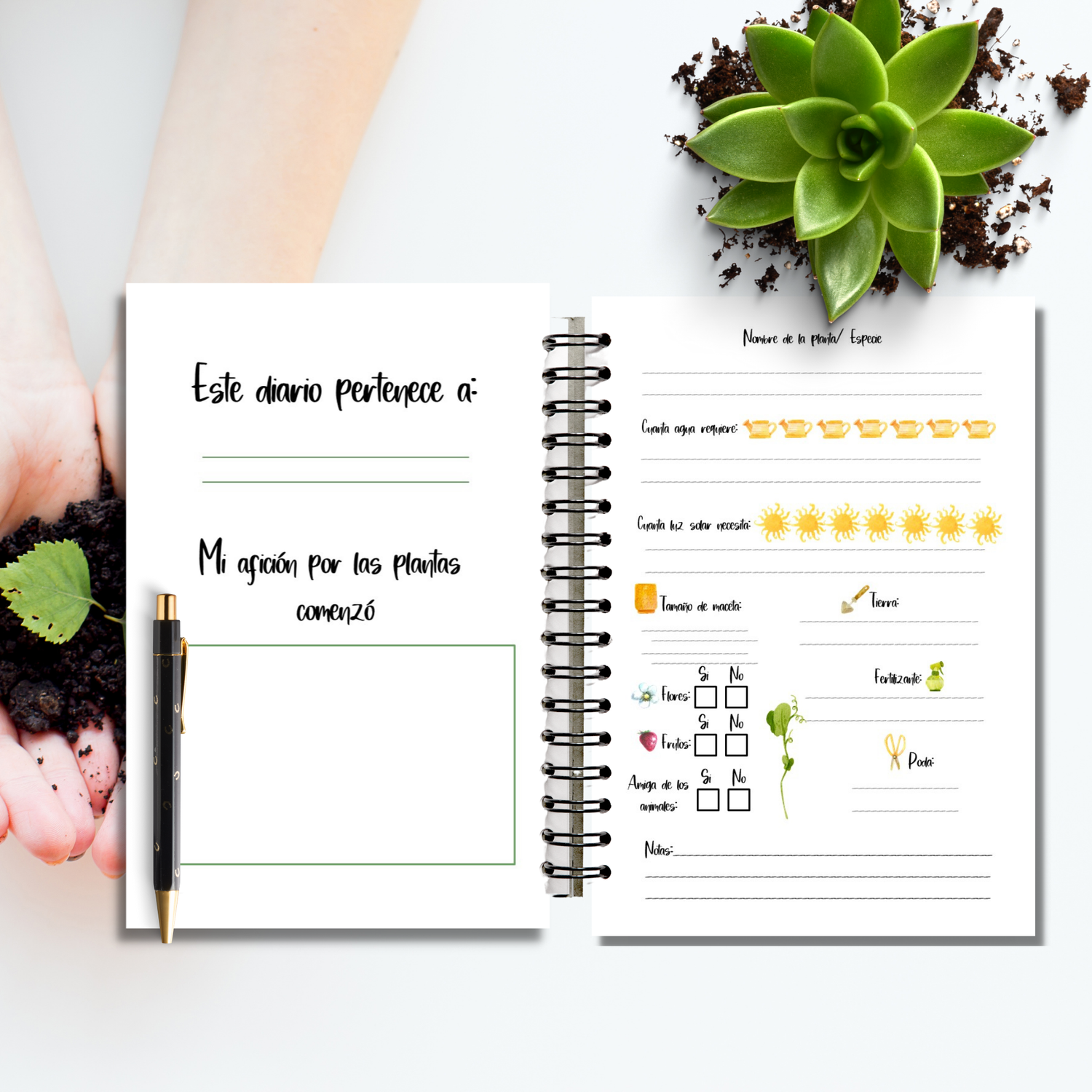 DIARIO DE MIS PLANTAS A4 PDF - Payhip