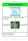 Florida Animals Notebooking Pages - Payhip