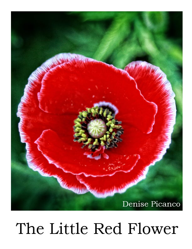 The Little Red Flower - Payhip