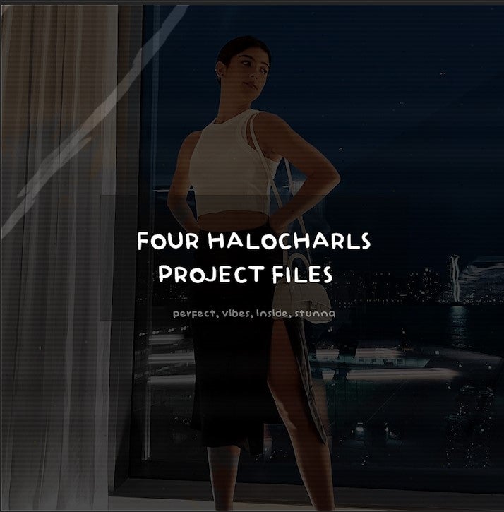 project file bundle - Payhip