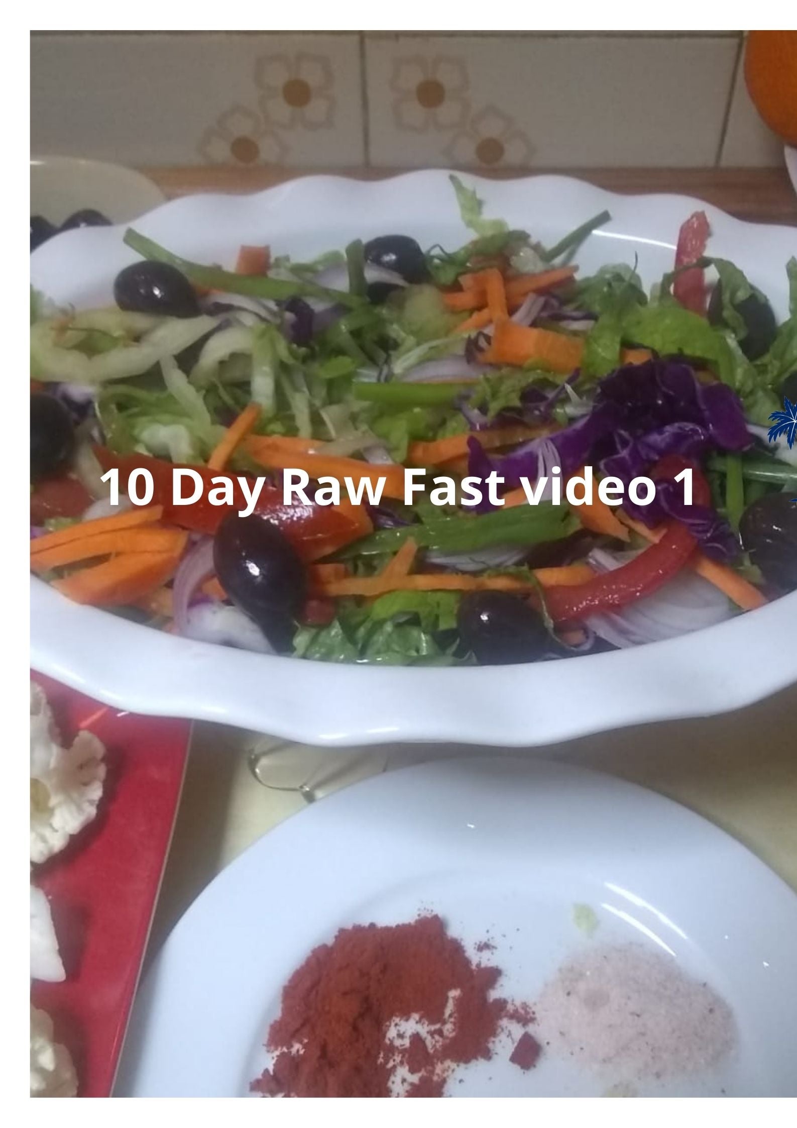 10 Day Raw Fast Day 1 - Payhip