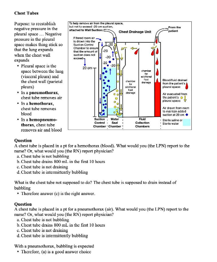 Mark K NCLEX Review (Full Lectures) Study Guide - Over 90 Pages of ...