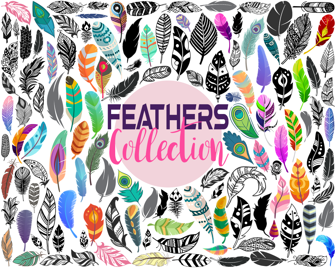 feathers Cute File SVG,PNG Feather,Beak,Birdwatching,Songbird,Plumage,Feather Pattern,Quill ...