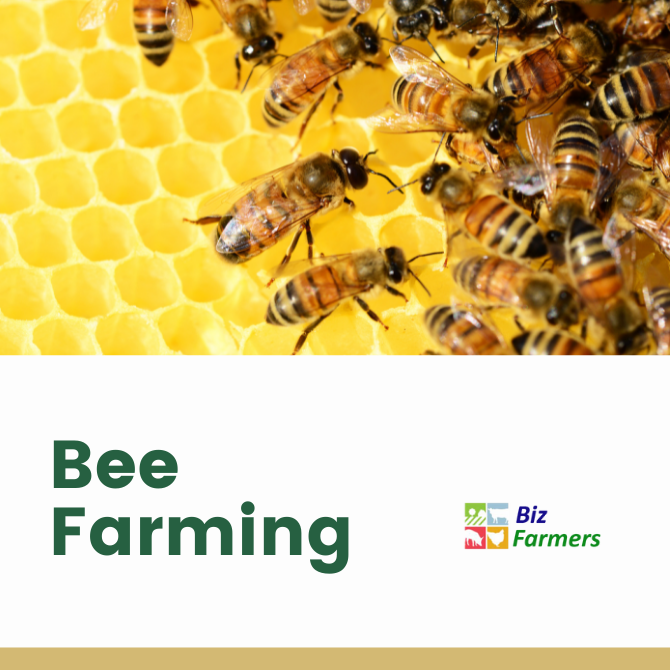 Bee Keeping - Payhip