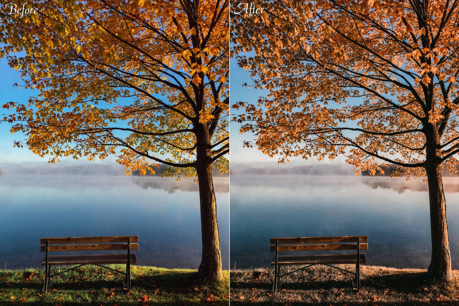 AUTUMN Preset - Fall Lightroom Presets | Fall Presets | Autumn Filters ...