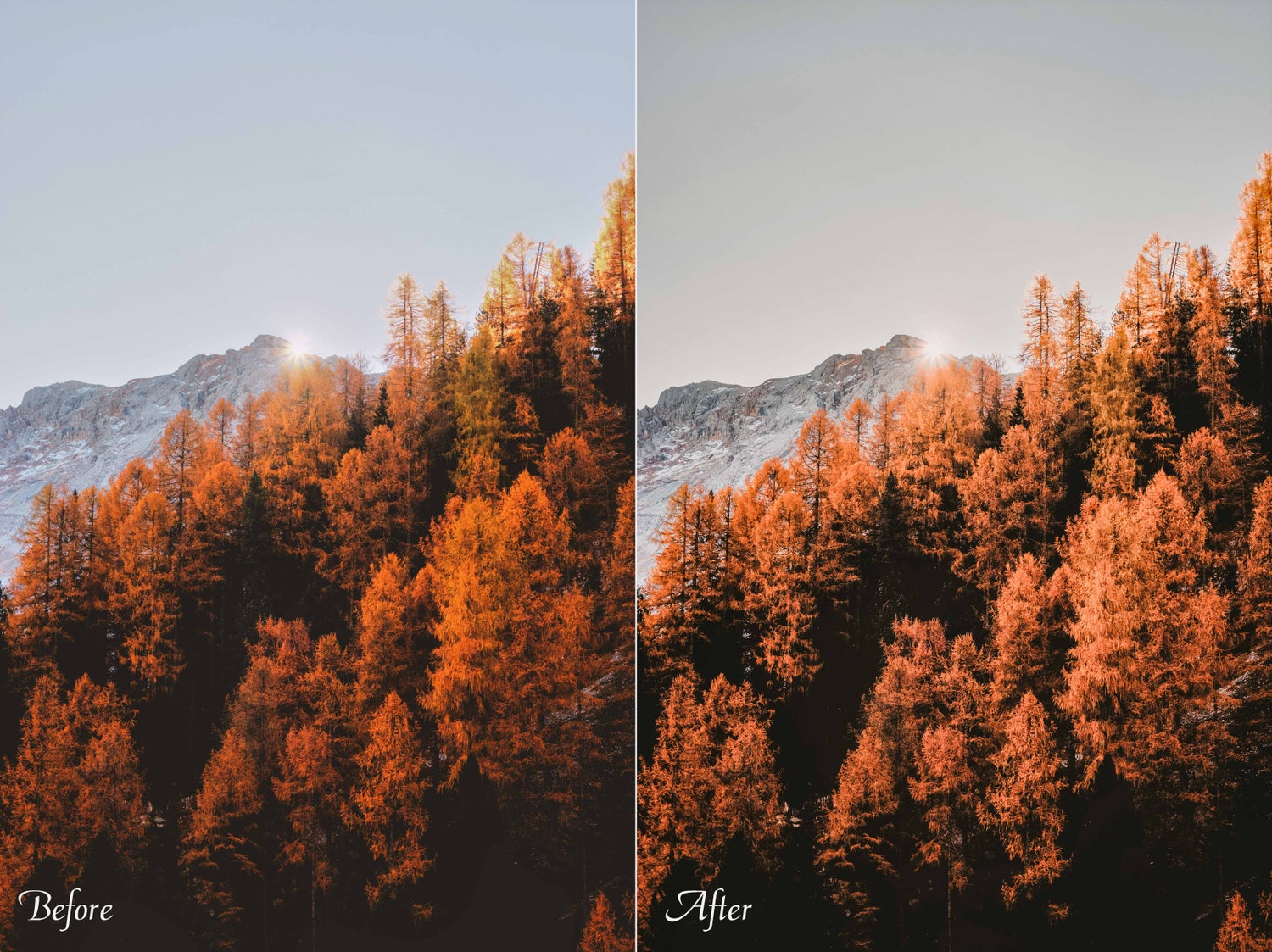 AUTUMN Preset - Fall Lightroom Presets | Fall Presets | Autumn Filters ...