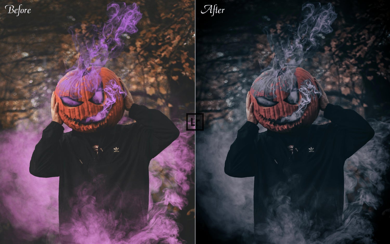 HORROR - Lightroom Preset | Halloween Filters | Horror Movies Filters ...