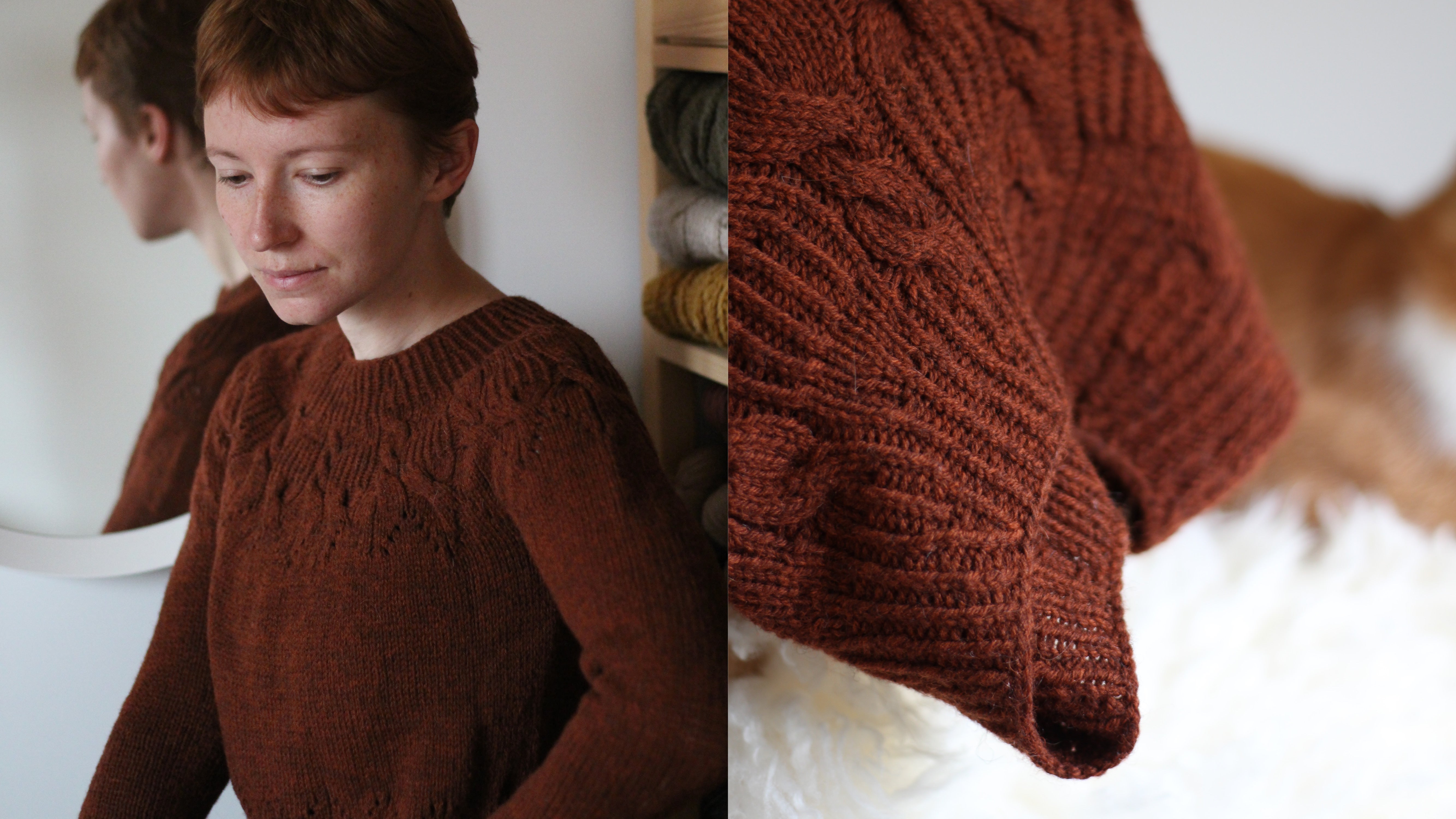 Cinnamomum pullover - Payhip