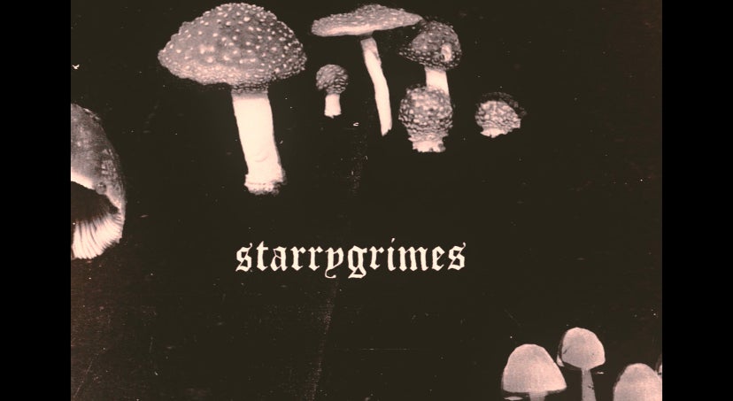 png/texture starter kit - Payhip