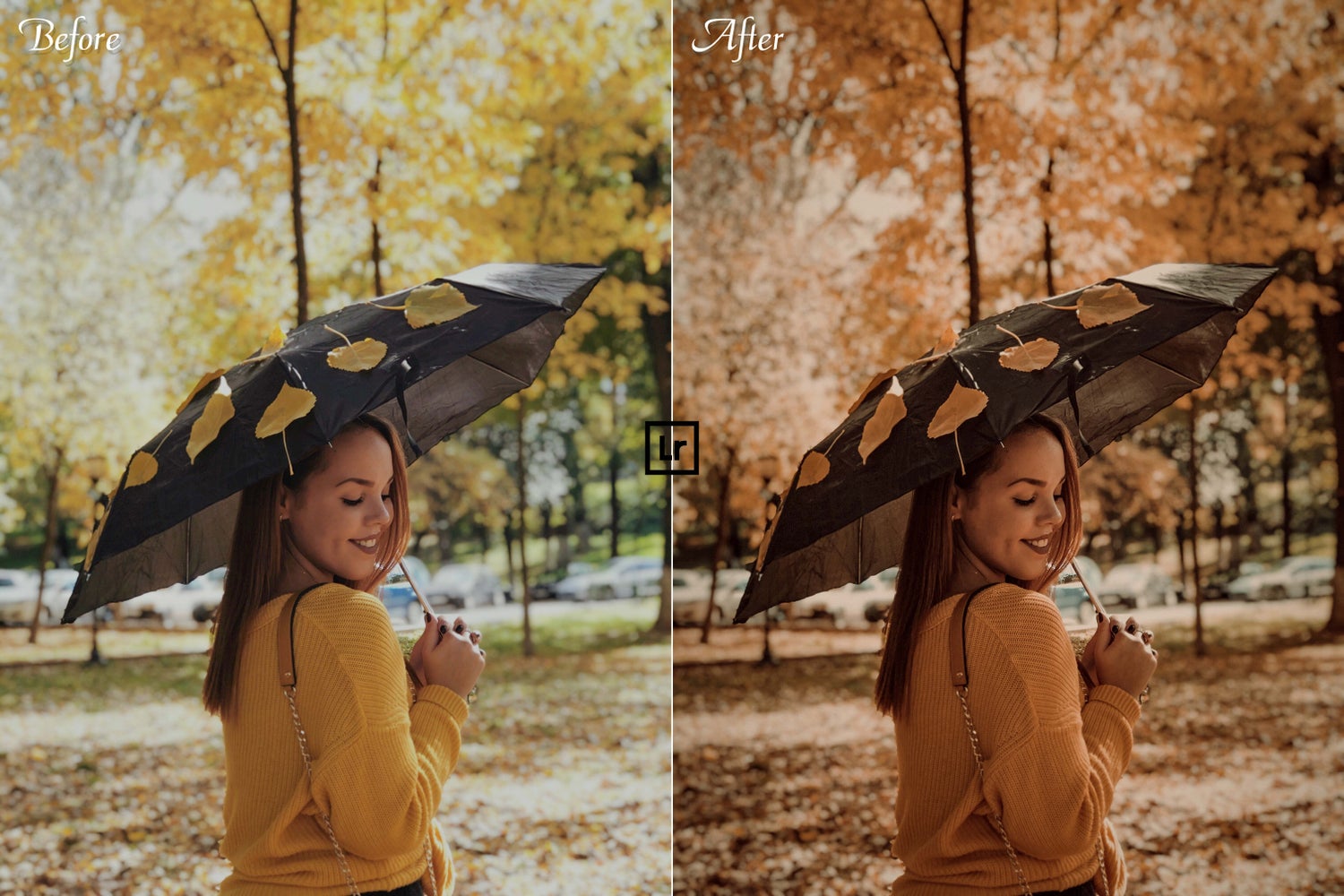 FALL Preset - Autumn Lightroom Presets | Fall Presets | Autumn Filters ...