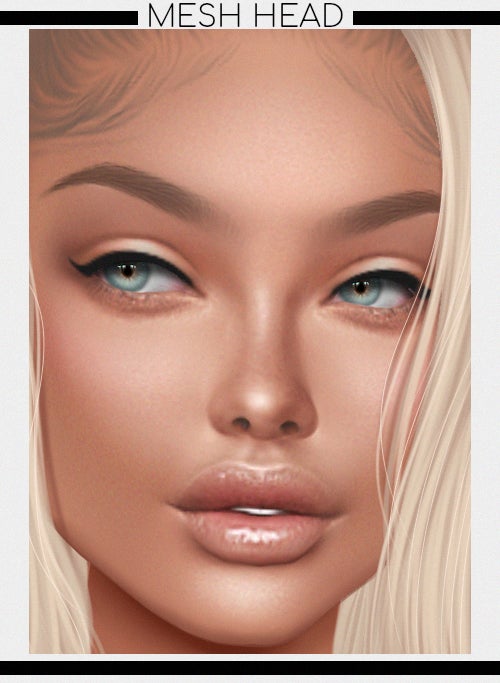 MeshHead PSD#002 - Payhip