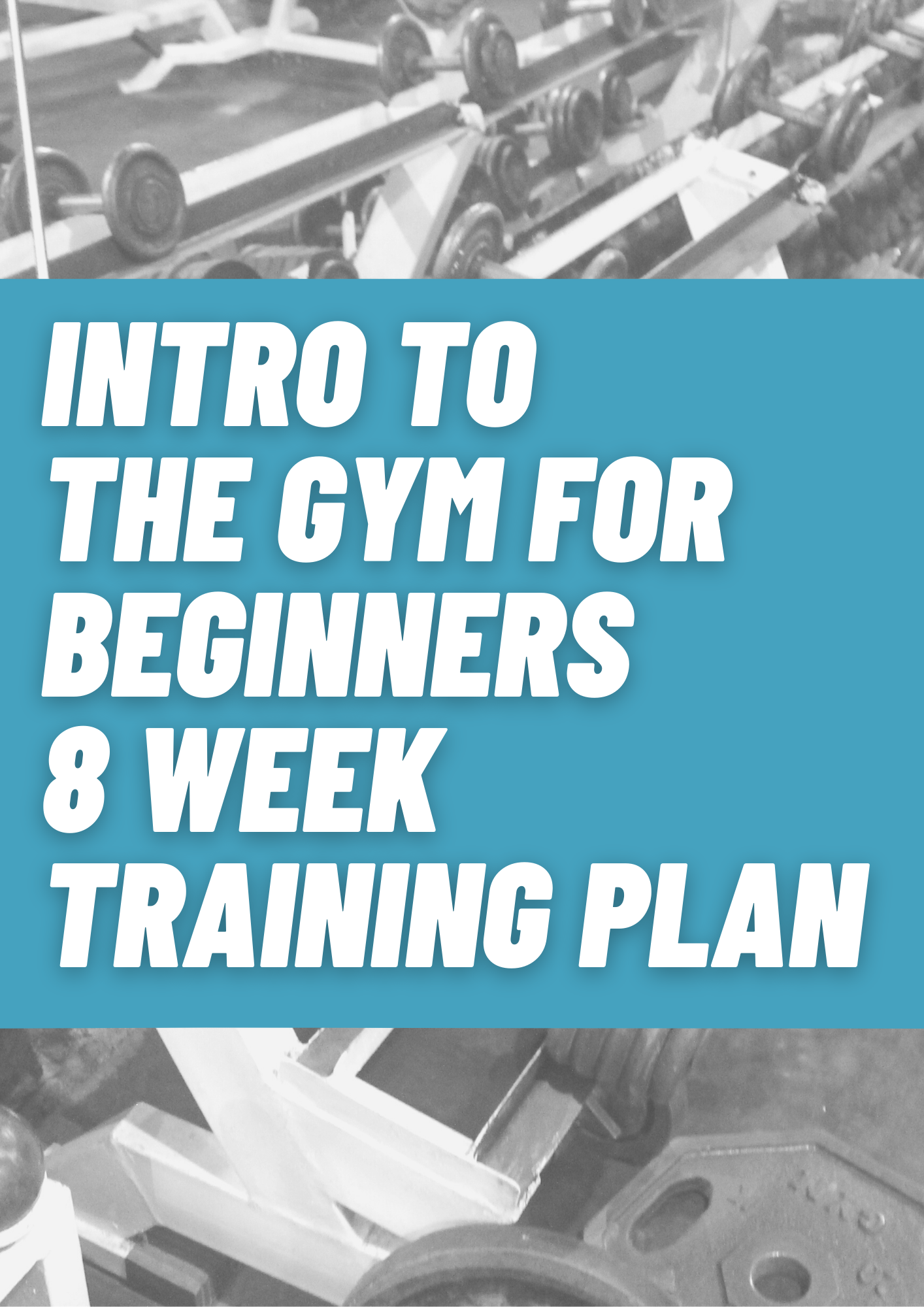 Beginner 8 Week Training Plan - Payhip